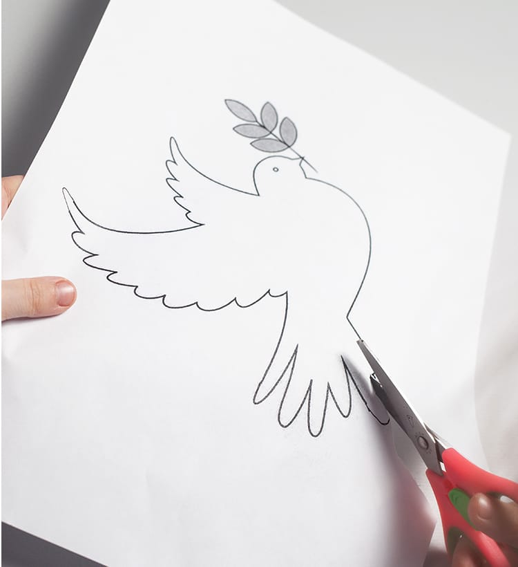 nova wade - PDSTUDIO